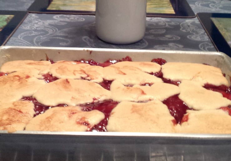 Quick and Easy Cherry Squares